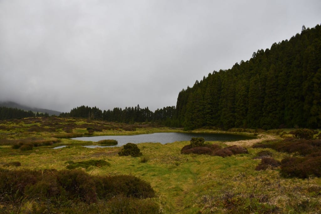 Azoren - Do. 17-04-2025, Terceira, wandeling Piscinas Naturais Biscoitos